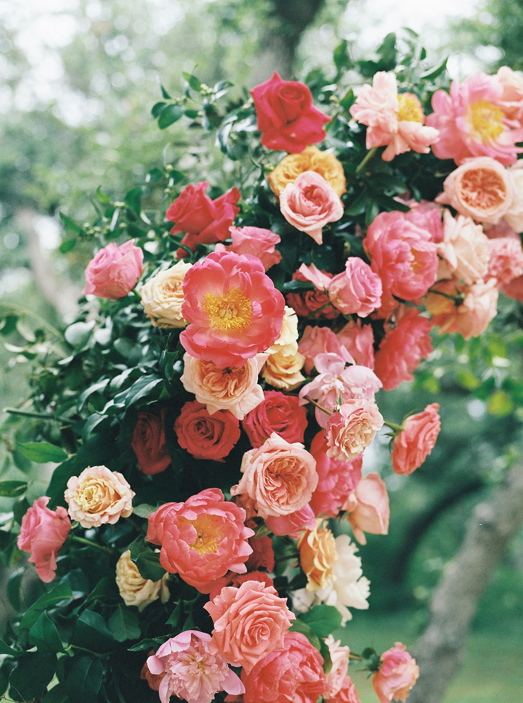 The Addison Grove Film Wedding Photos | Isabel & Sander - dianabrewer.com